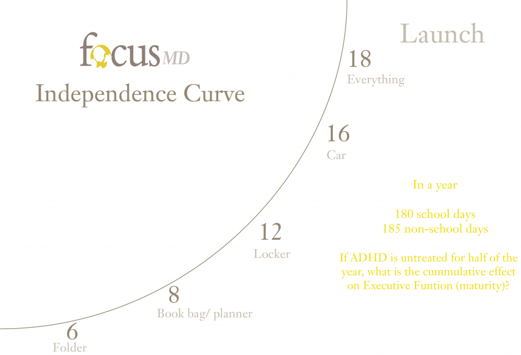 The Independence Curve – Focus-MD
